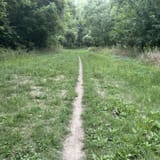 Bill Riley Trail, Iowa - 266 Reviews, Map | AllTrails