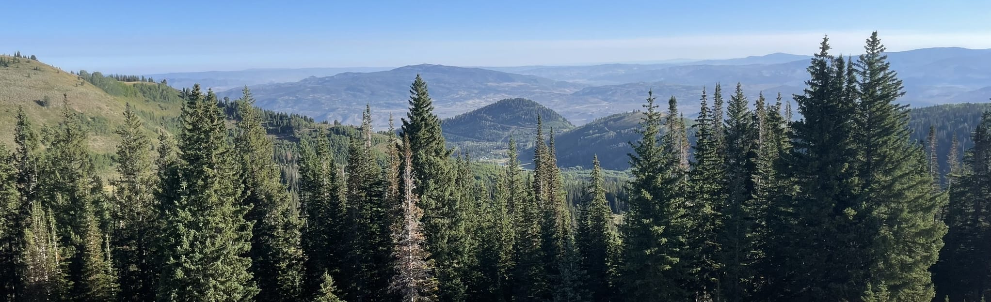 AllTrails | Old State Road to Wasatch Crest Trail: 14 Reviews, Map - Utah