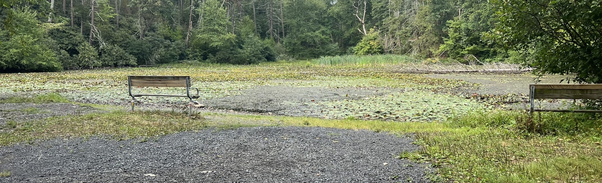 Lake Lenape to Wolf Rocks via Appalachian Trail: 59 Reviews, Map ...