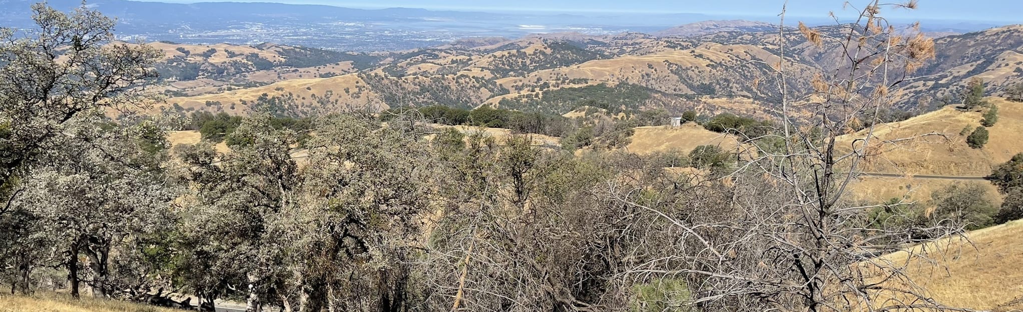 Mount Hamilton Ride: 53 Reviews, Map - California | AllTrails