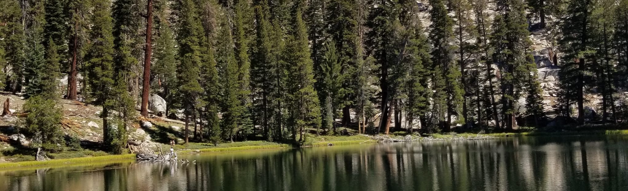 Strawberry Lake OHV Trail, California - 27 Reviews, Map | AllTrails