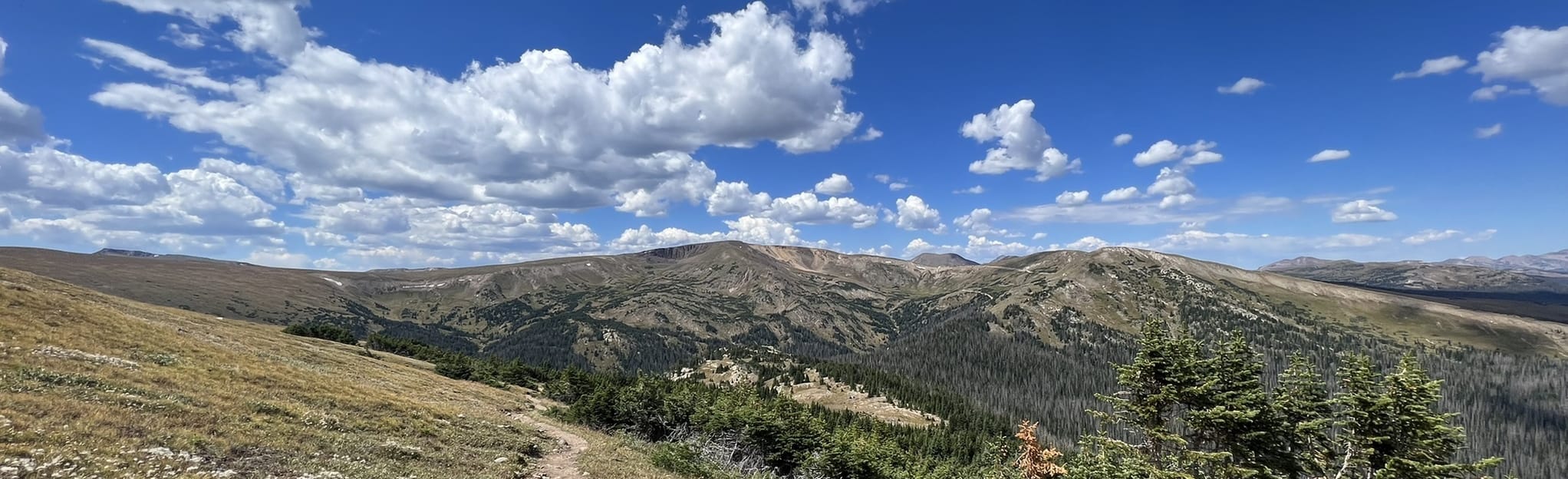 Mount Chapin, Chiquita, and Ypsilon Mountain via Chapin Pass Trail ...