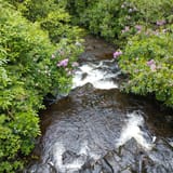 Lough Eske Nature Loop, County Donegal, Ireland - 137 Reviews, Map ...