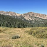 Native Lake Trail, Colorado - 208 Reviews, Map | AllTrails