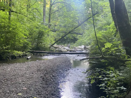 10 Best Walking Trails in Surrey | AllTrails 10 Best Walking Trails in Surrey | AllTrails