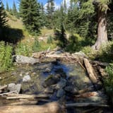 Wheeler Pass Trail, Colorado - 92 Reviews, Map | AllTrails