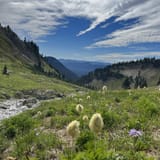 Cispus Pass and Nannie Peak via Snowgrass, PCT, and Klickitat Loop ...