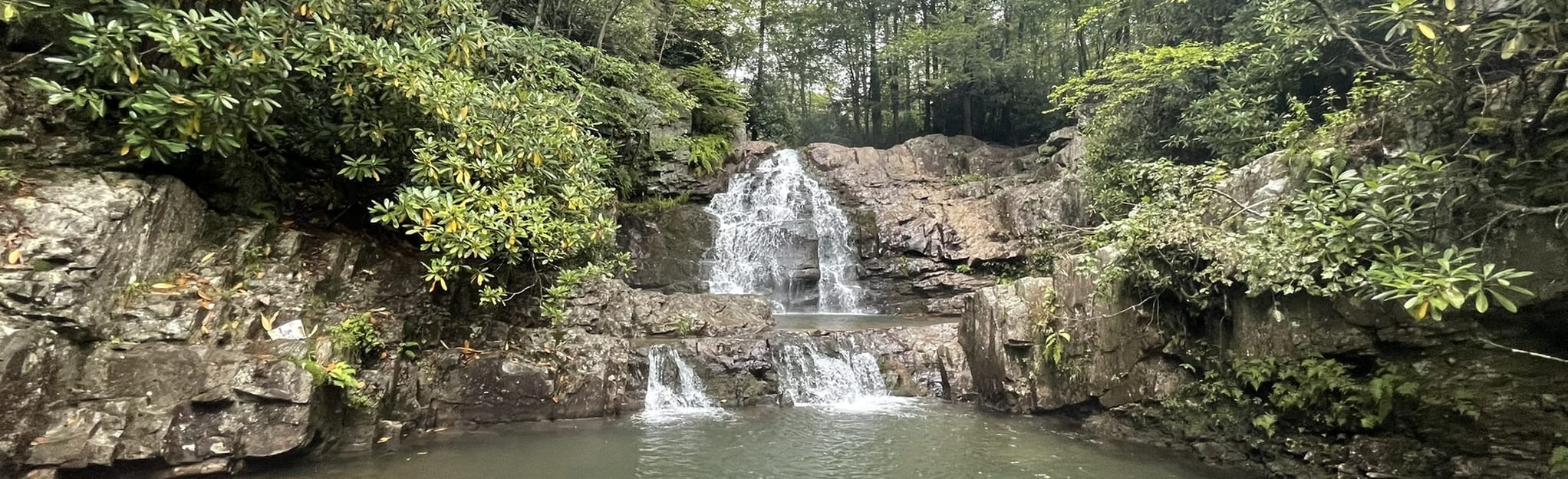 Hawk Falls Trail, Pennsylvania - 2,677 Reviews, Map | AllTrails