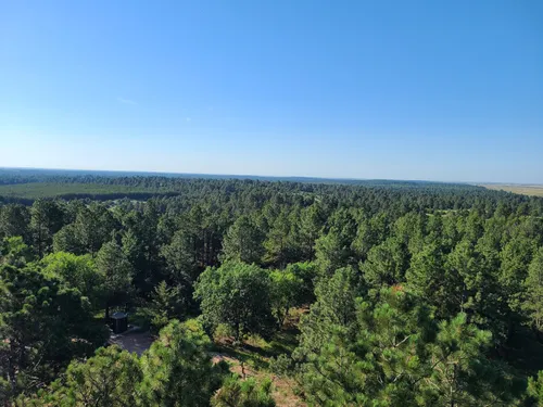 Best Moderate Trails in Nebraska National Forest | AllTrails