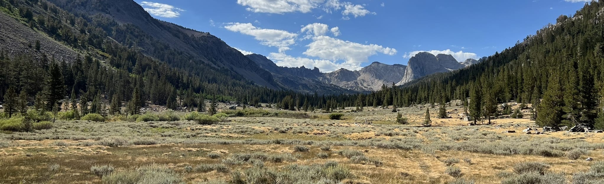 Burt Canyon Trail, California - 16 Reviews, Map | AllTrails