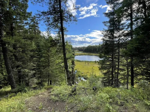 10 Best Trails and Hikes in Prince George | AllTrails