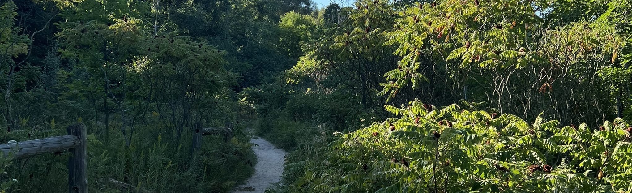 Garfield Trail and Old Orchard Loop, Michigan - 106 Reviews, Map ...