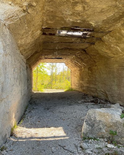 Best Hikes and Trails in Fiborn Karst Preserve | AllTrails