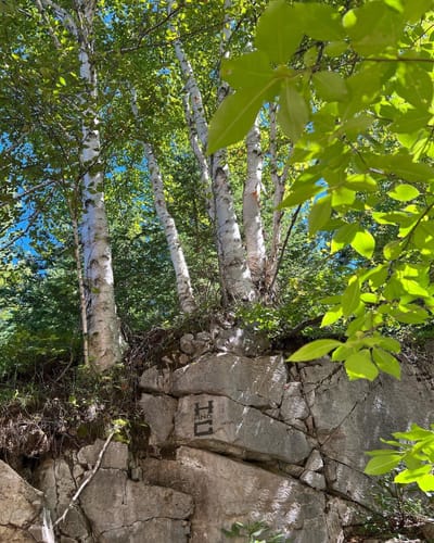 Best Hikes and Trails in Fiborn Karst Preserve | AllTrails