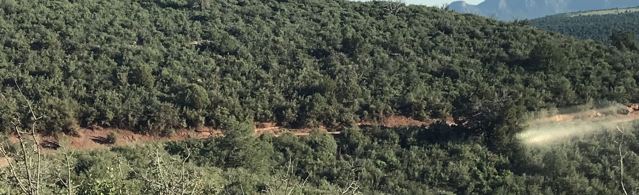 Pyeatt Draw OHV Trail | Map, Guide - Arizona | AllTrails