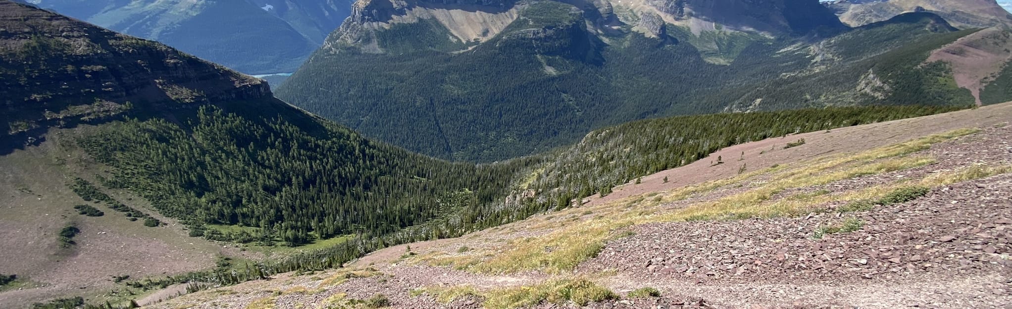 Akamina Pass, Wall Lake, and Forum Lake Trail: 289 Reviews, Map ...