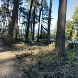 Bay Area Ridge Trail: San Francisco Presidio, California - 707 Reviews ...