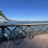 Bay Bridge Trail, California - 729 Reviews, Map | AllTrails