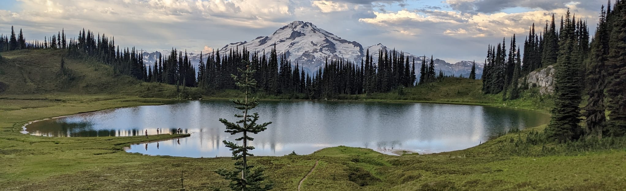 Spider Gap to Buck Creek Pass Loop: 127 bilder – Washington | AllTrails