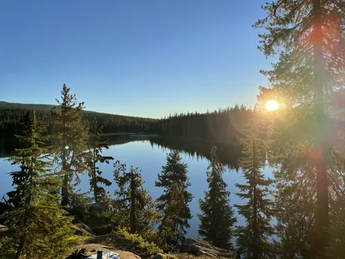 Best Hikes and Trails in Gold Lake Bog Research Natural Area | AllTrails