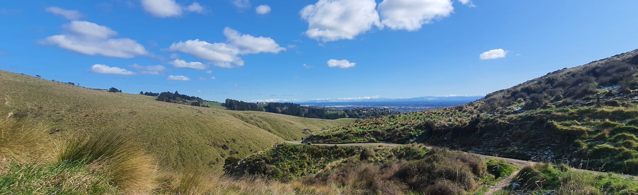 Rapaki Track: 406 Reviews, Map - Canterbury, New Zealand | AllTrails