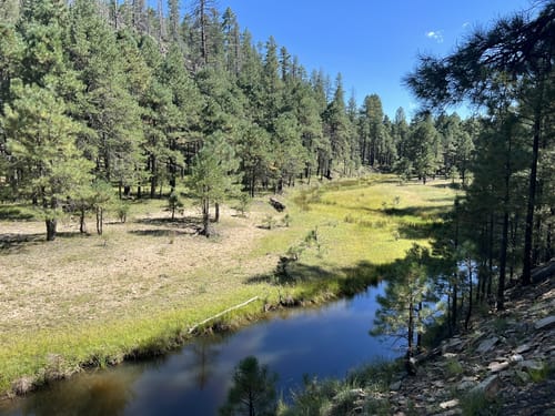 2023 Best 10 Trails and Hikes in Happy Jack | AllTrails