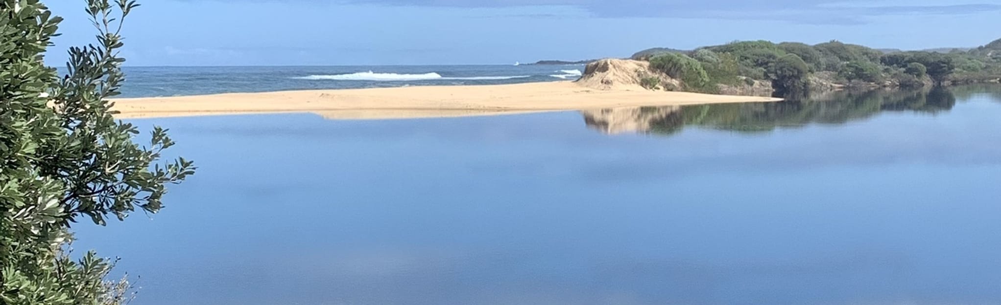 Estuary View Walk: 5 Reviews, Map - Victoria, Australia | AllTrails