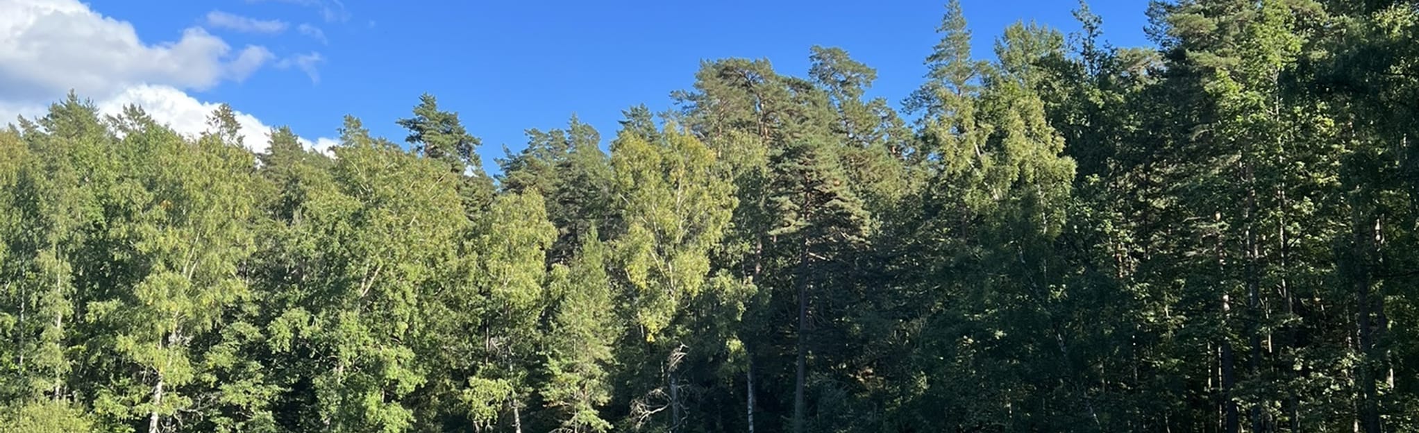 Tegnértornet, Jönköping, Sweden - 13 Reviews, Map | AllTrails