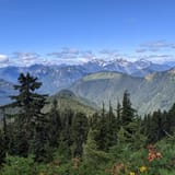 Evergreen Lookout Trail, Washington - 224 Reviews, Map | AllTrails