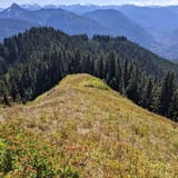 Evergreen Lookout Trail, Washington - 224 Reviews, Map | AllTrails