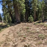 Warren Lake via PCT, Summit Lake, and Warren Lake Trail, California ...
