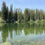Strawberry Lake and Little Strawberry Lake Trail , Oregon - 283 Reviews ...