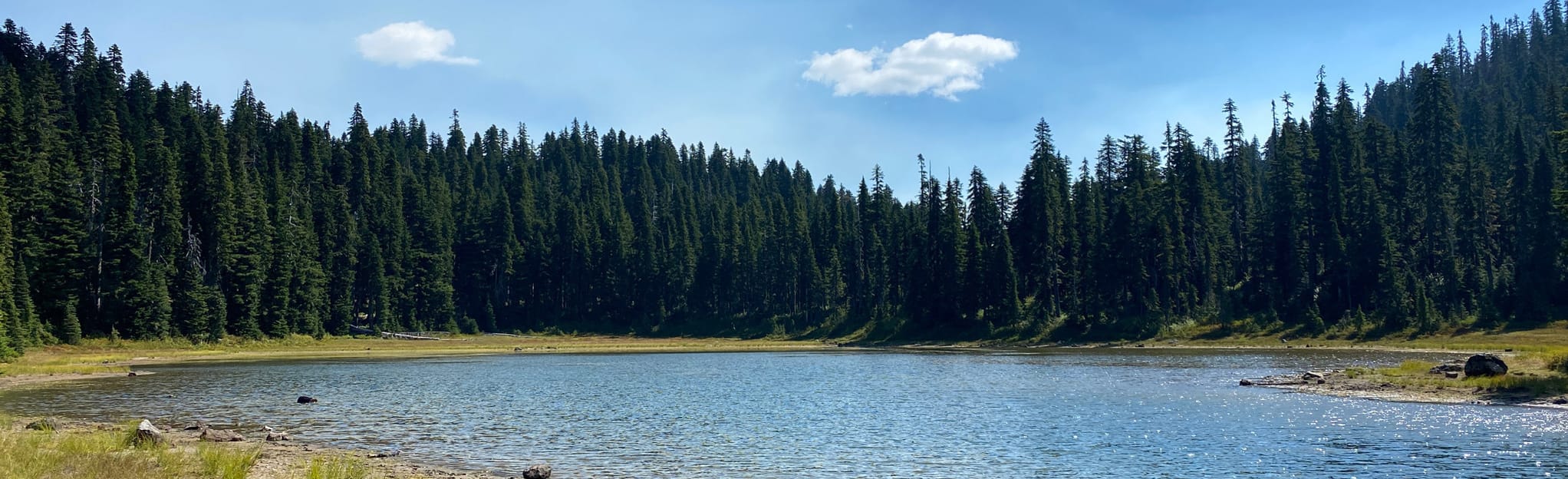 Indian Heaven Lakes Trail: 44 Reviews, Map - Washington | AllTrails