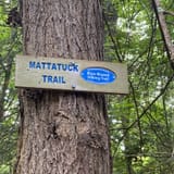 Mattatuck Trail: Wolcott to Brophy Pond, Connecticut - 122 Reviews, Map ...