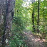 Mattatuck Trail: Wolcott to Brophy Pond, Connecticut - 122 Reviews, Map ...