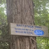 Mattatuck Trail: Wolcott to Brophy Pond, Connecticut - 146 Reviews, Map ...