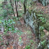 Mattatuck Trail: Wolcott to Brophy Pond, Connecticut - 122 Reviews, Map ...