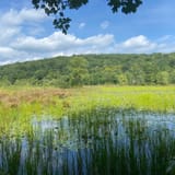 Mattatuck Trail: Wolcott to Brophy Pond, Connecticut - 122 Reviews, Map ...