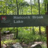 Mattatuck Trail: Wolcott to Brophy Pond, Connecticut - 122 Reviews, Map ...
