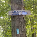 Mattatuck Trail: Wolcott to Brophy Pond, Connecticut - 122 Reviews, Map ...