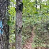 Mattatuck Trail: Wolcott to Brophy Pond, Connecticut - 122 Reviews, Map ...