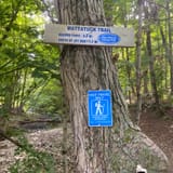 Mattatuck Trail: Wolcott to Brophy Pond, Connecticut - 122 Reviews, Map ...