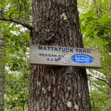 Mattatuck Trail: Wolcott to Brophy Pond, Connecticut - 122 Reviews, Map ...