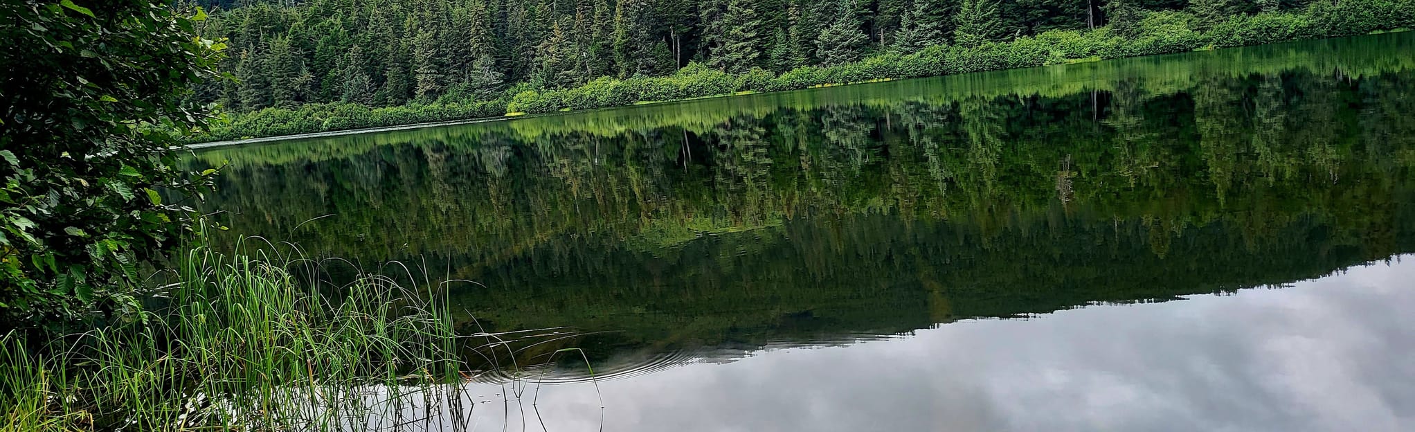 Grayling Lake via Divide Trailhead, Alaska - 19 Reviews, Map | AllTrails