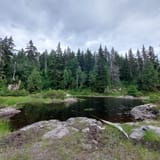 Pinnacle Lake Trail, Washington - 321 Reviews, Map | AllTrails