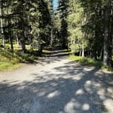 Alder Trail, Alberta, Canada - 419 Reviews, Map | AllTrails