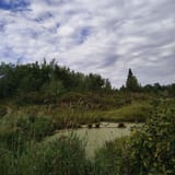 Amisk Wuche Trail, Alberta, Canada - 423 Reviews, Map | AllTrails