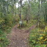Amisk Wuche Trail, Alberta, Canada - 423 Reviews, Map | AllTrails