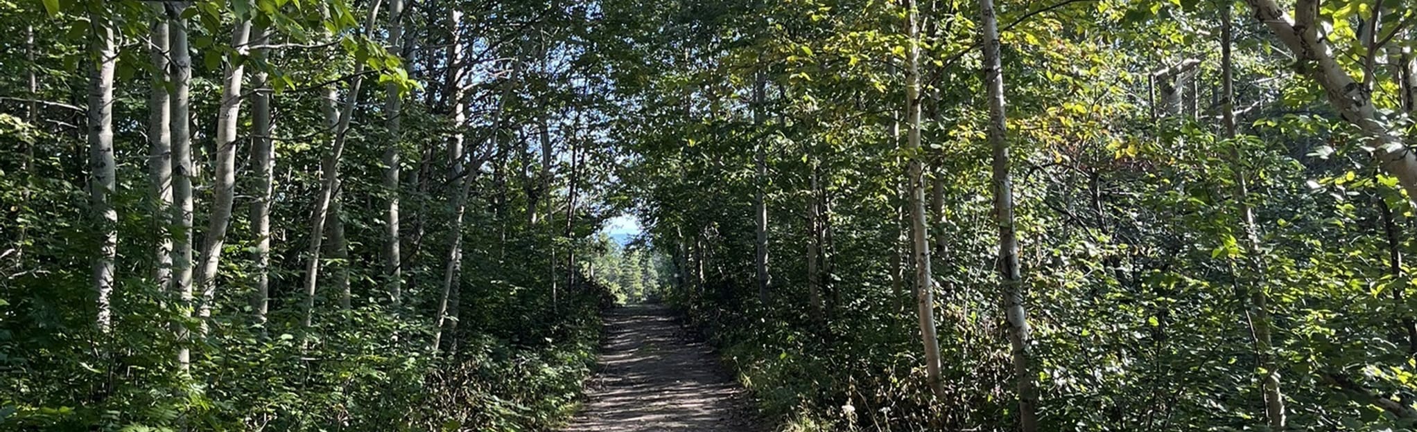 Pointe Thériault Access, Quebec, Canada - 10 Reviews, Map | AllTrails