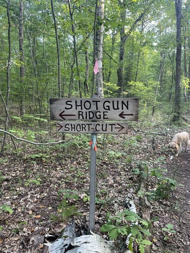 Best Hikes and Trails in Governor Earl Peshtigo River State Forest ...